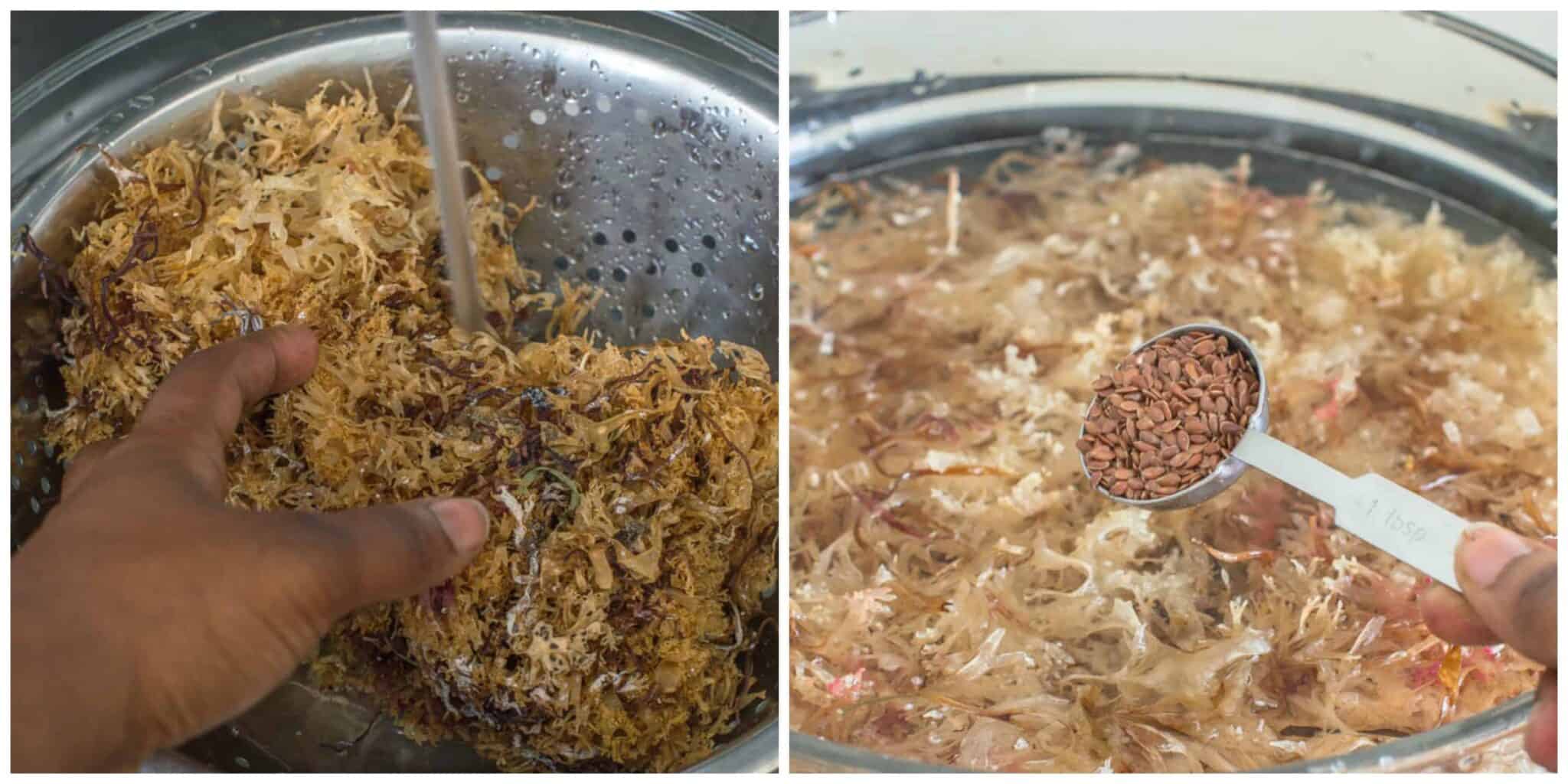 Sea Moss Drink (Irish Moss Drink) - That Girl Cooks Healthy
